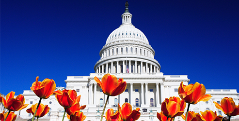 Advocacy | AOTA